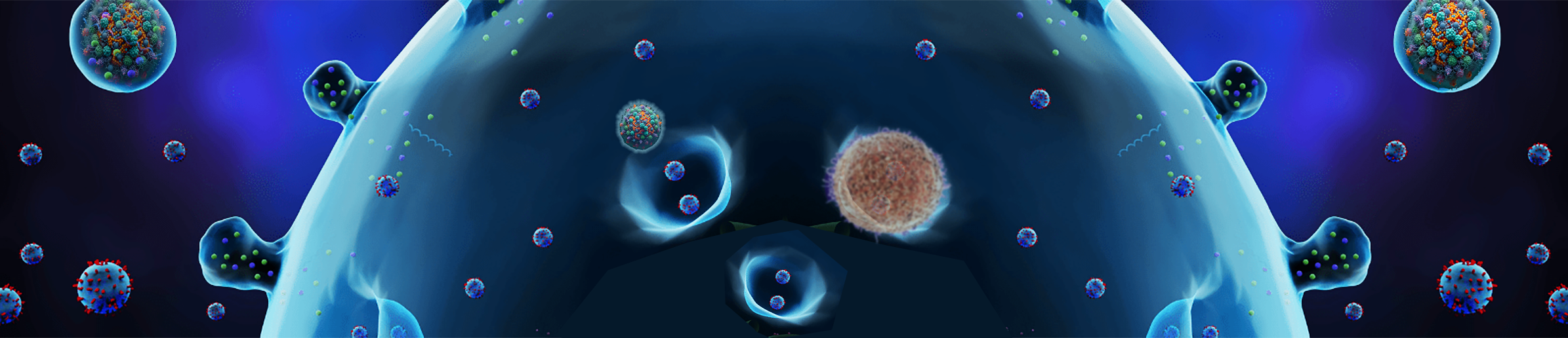 EXOSOMES — AGE-REGRESSION.COM