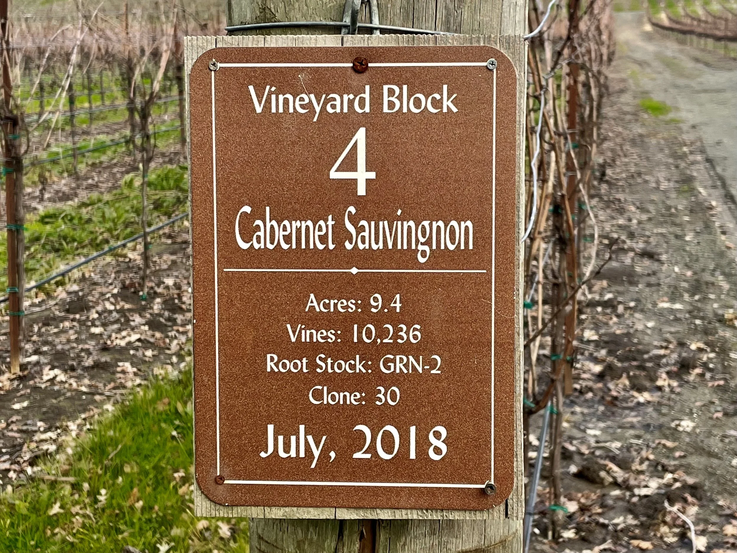 Vineyard Blocks — Rio Lago Ranch & Vineyard