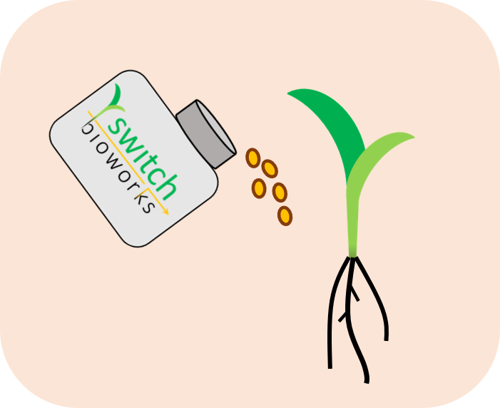Switch Bioworks