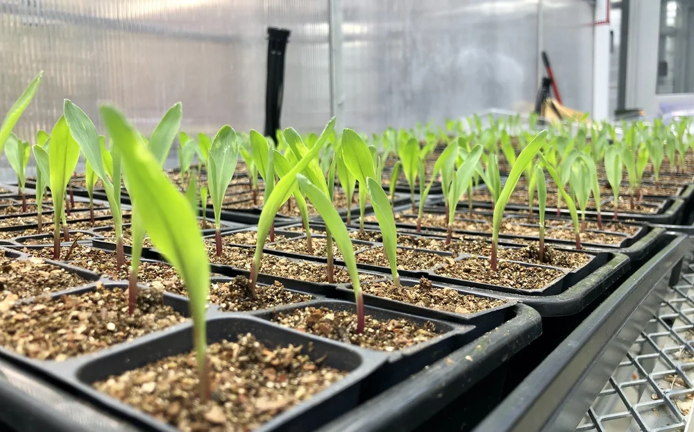 Team — Switch Bioworks