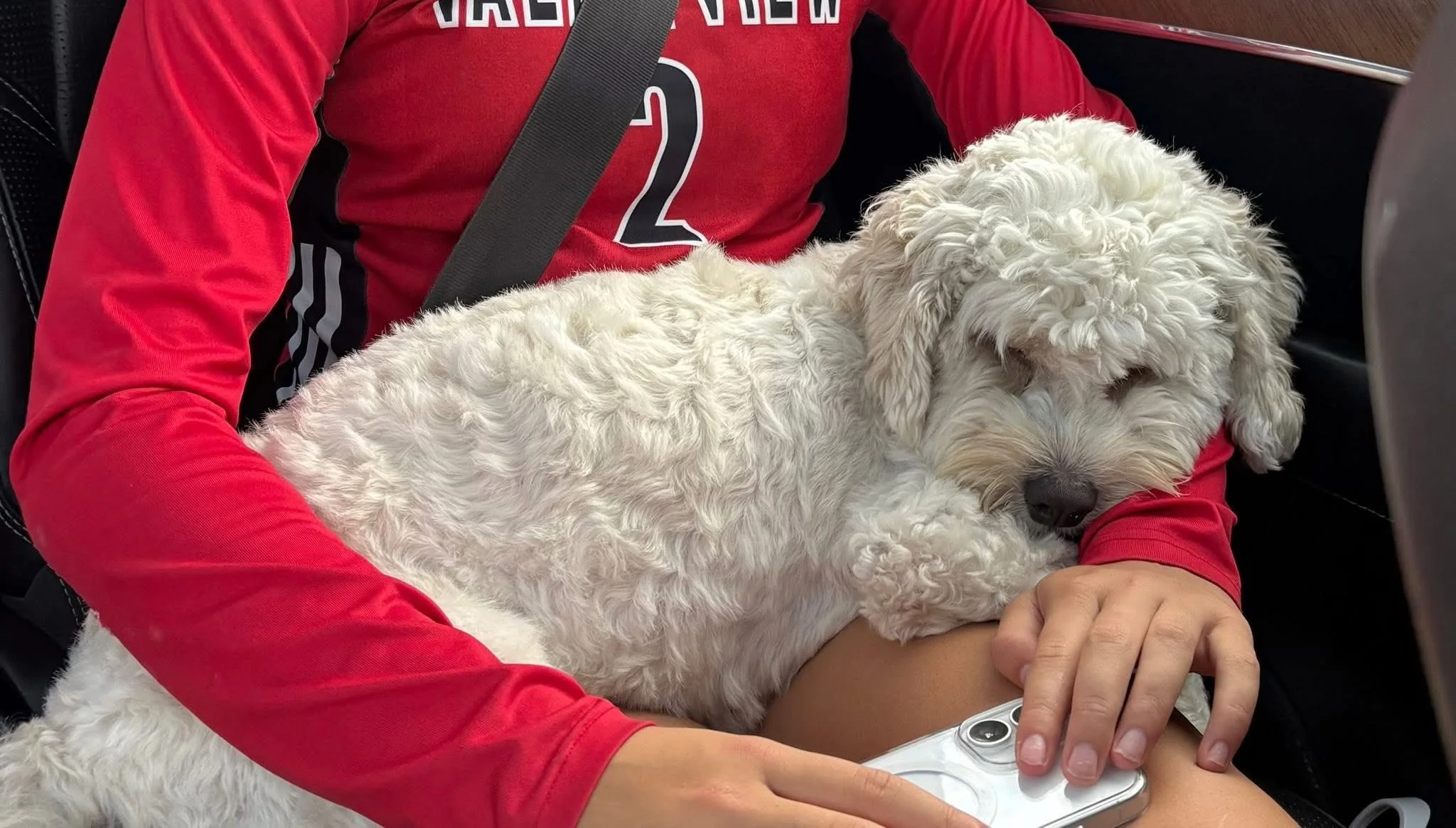 Adoptable Dogs — Kamloops Ruff Start Rescue Society