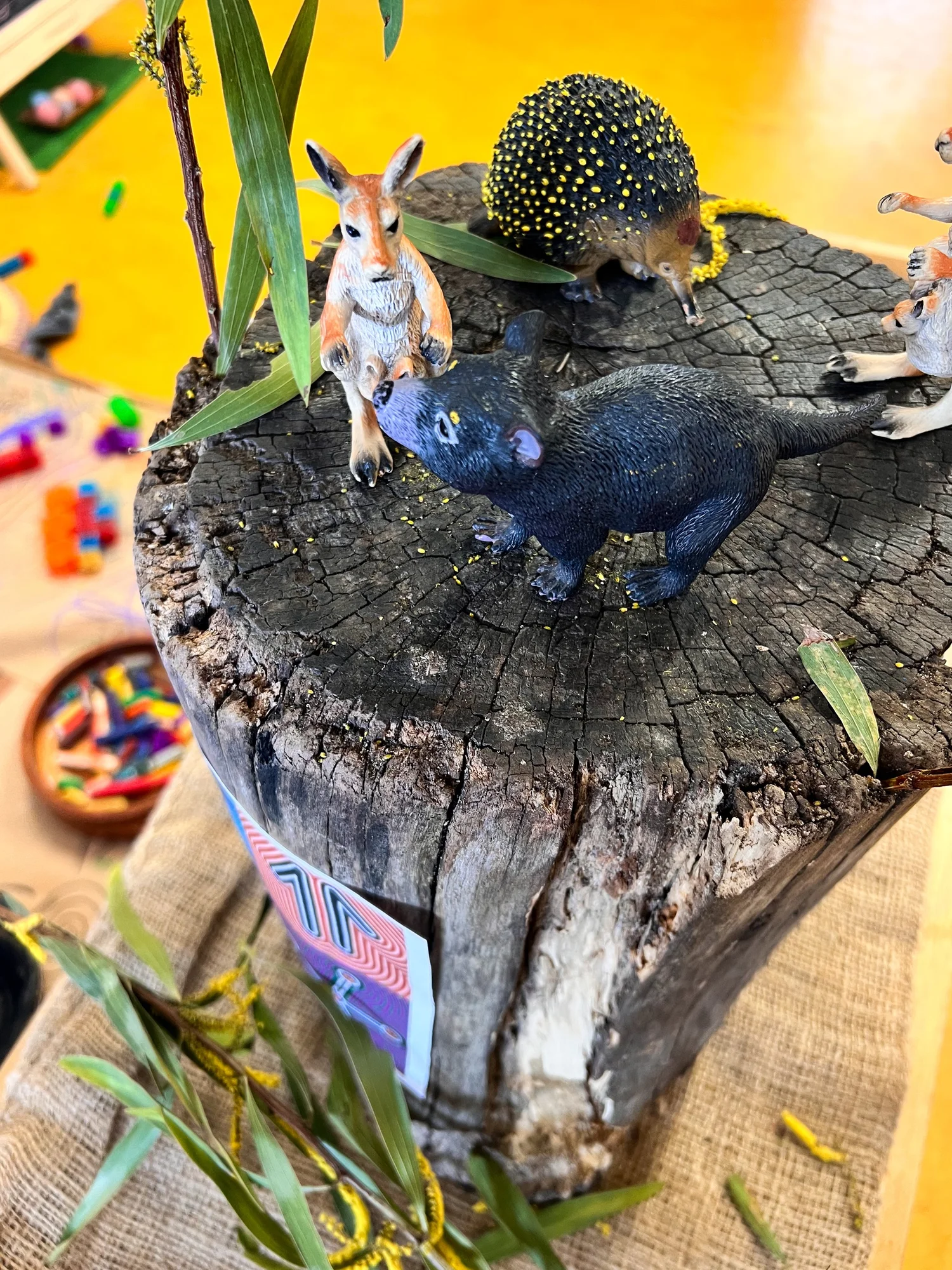 Nikinpa - Early Education & Care — Muloobinba Aboriginal Corporation