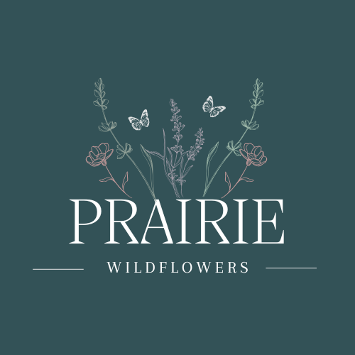 Services & Rates — Prairie Naturopathic Clinic
