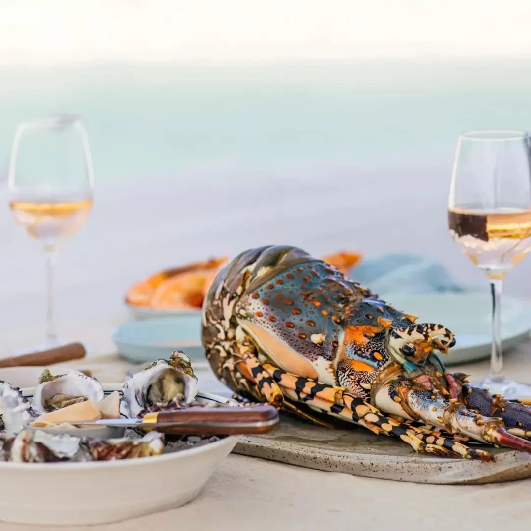 ABOUT — THE HOUSE | LIZARD ISLAND