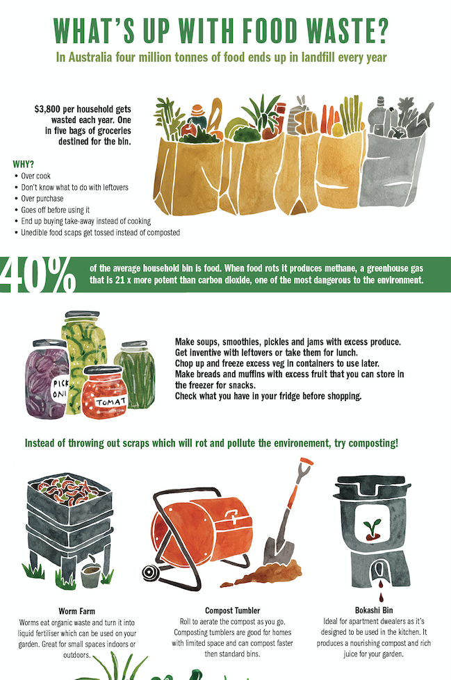 Food Waste Infographic — sarah c illustration / UNNU Handmade