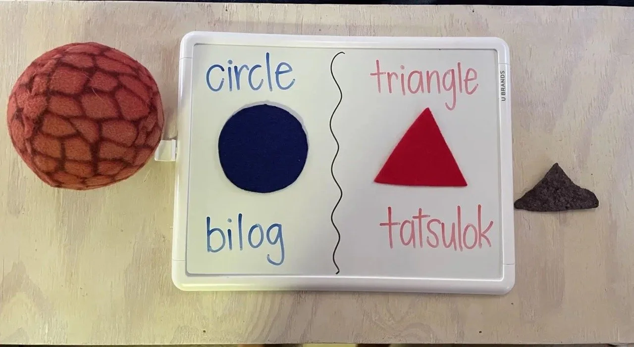 Little Turtles Preschool - Online Preschool Program For Ages 2-5 Years Old