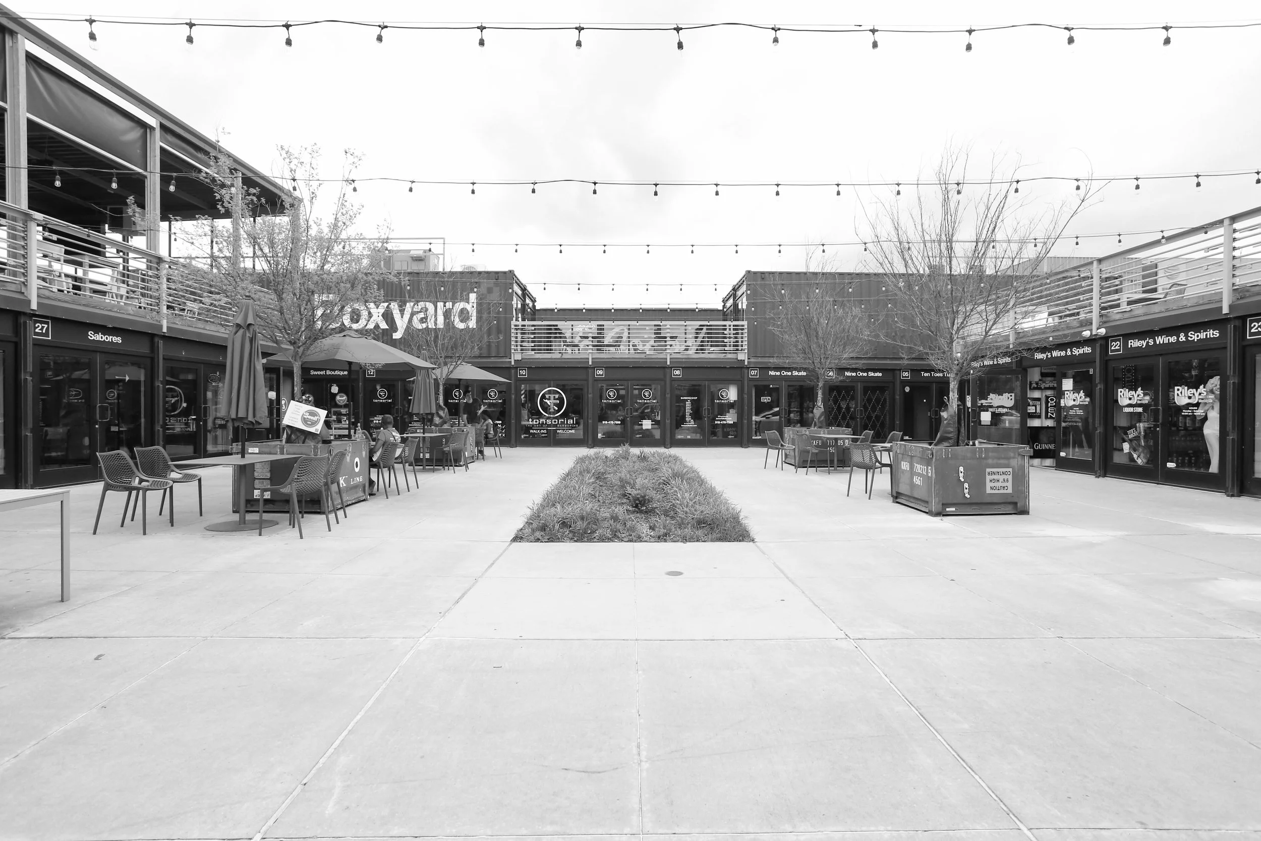 Fishless Desert Developments