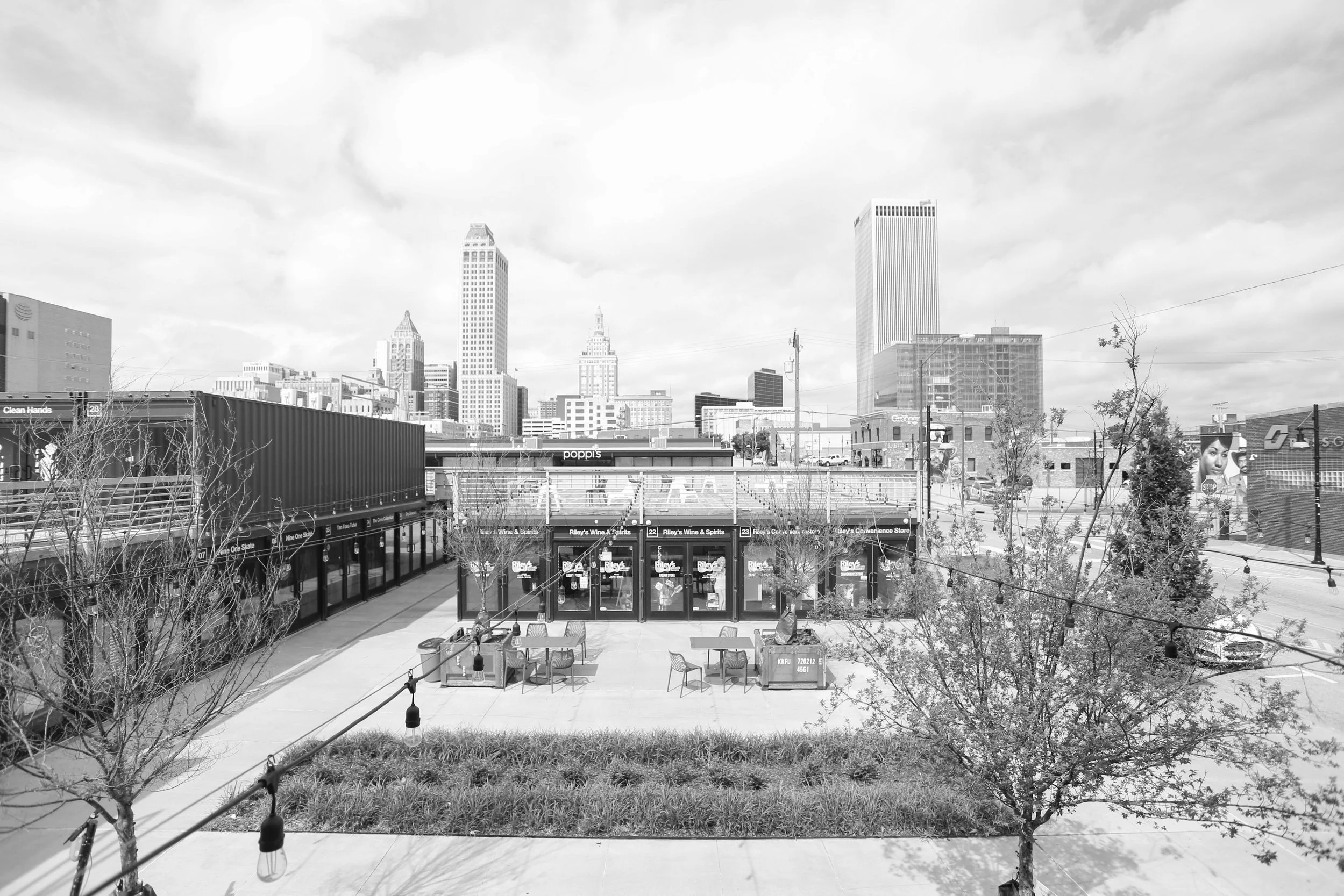 Fishless Desert Developments