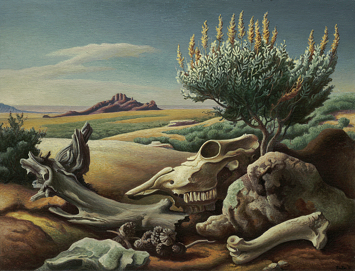 Nelson-Atkins Museum of Art | Museums & Galleries | Official Thomas ...