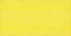 Rancid Official Website