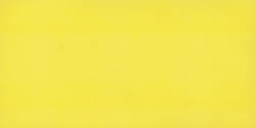 Rancid Official Website