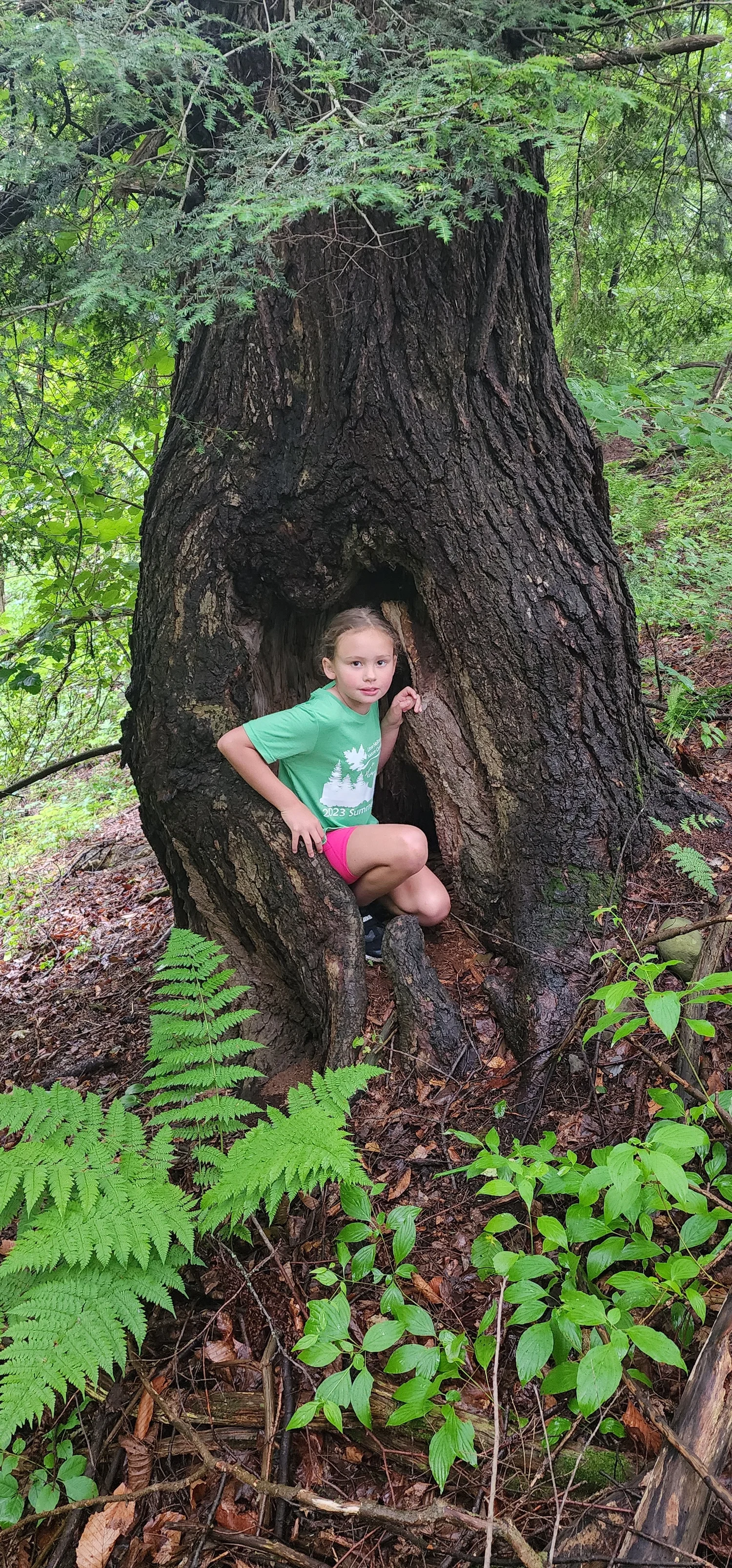 Summer Camps — Lime Hollow Nature Center