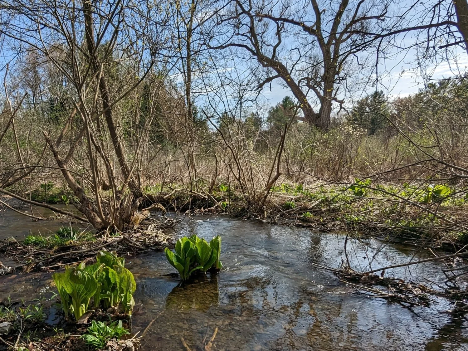 Lime Hollow Nature Center