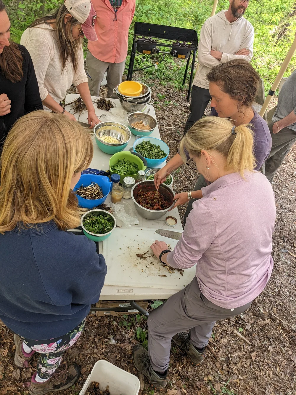 Adult Naturalist Series — Lime Hollow Nature Center