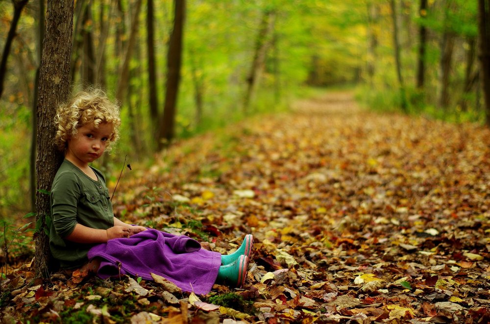 Lime Hollow Nature Center