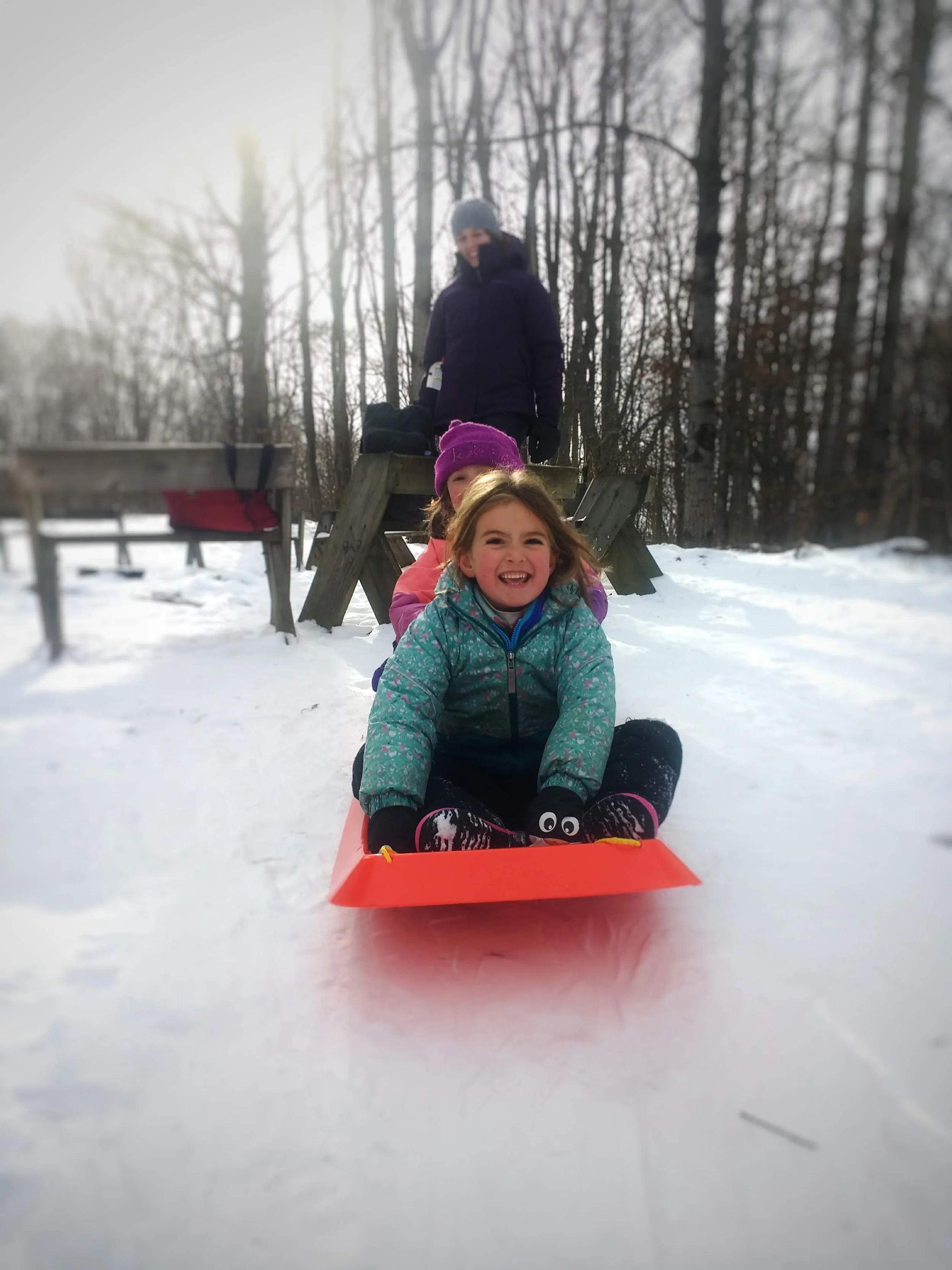 Afterschool — Lime Hollow Nature Center