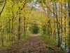 Trails — Lime Hollow Nature Center