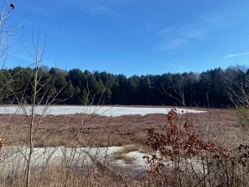 Points of Interest — Lime Hollow Nature Center