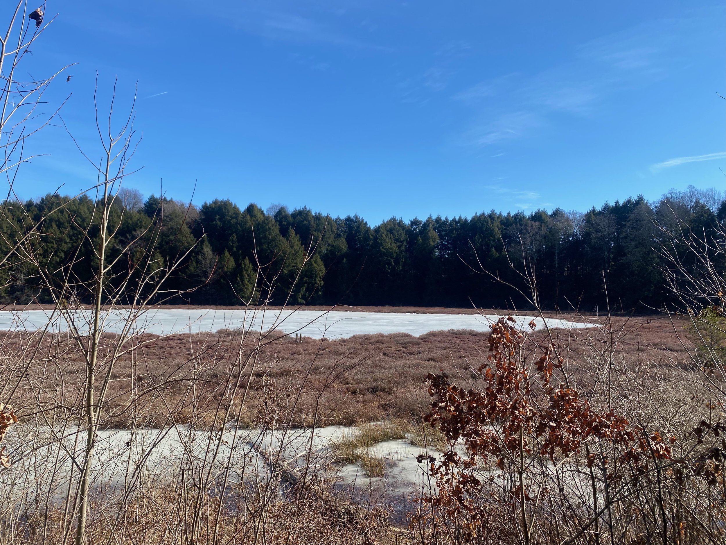 Points of Interest — Lime Hollow Nature Center