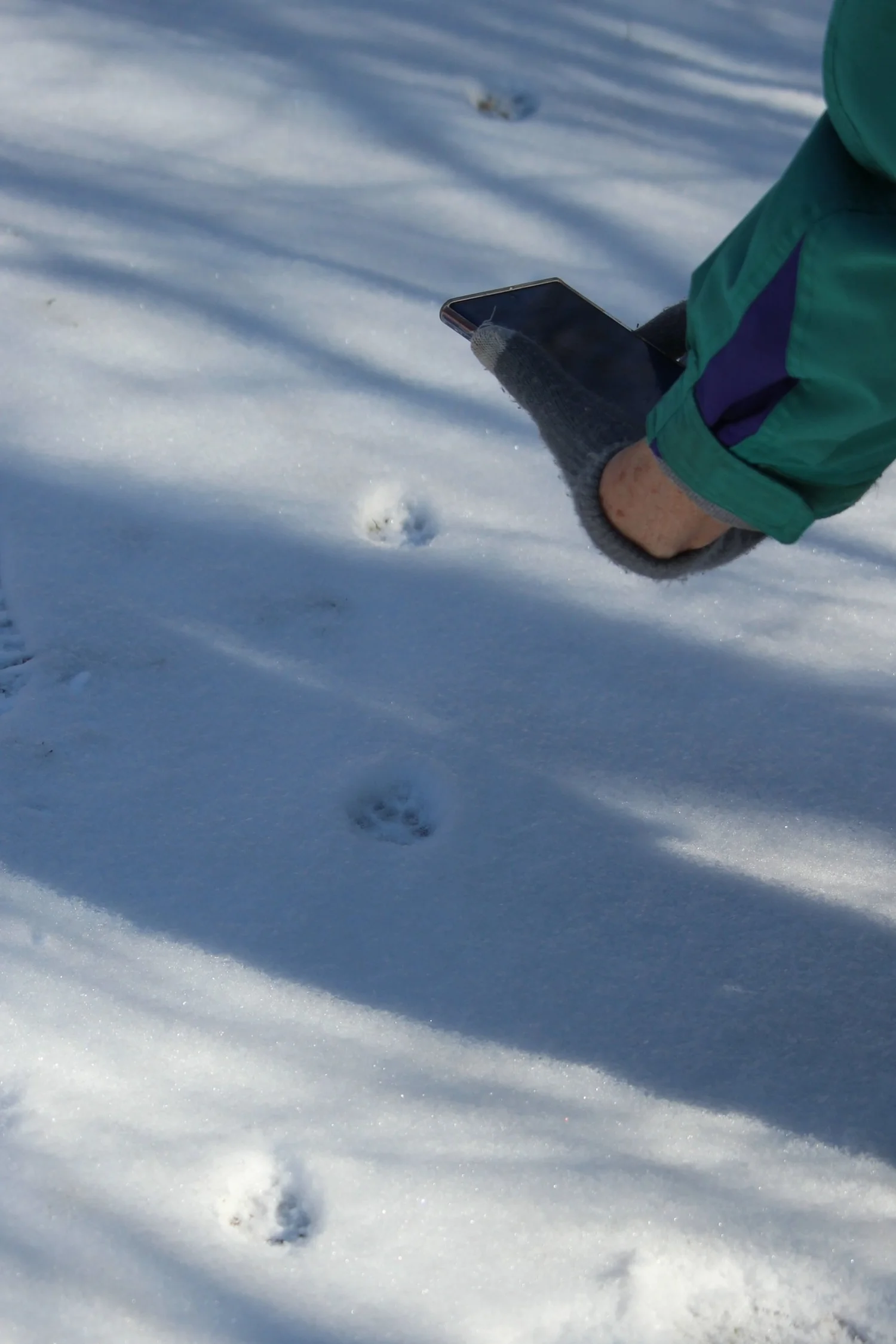 Adult Naturalist Series — Lime Hollow Nature Center