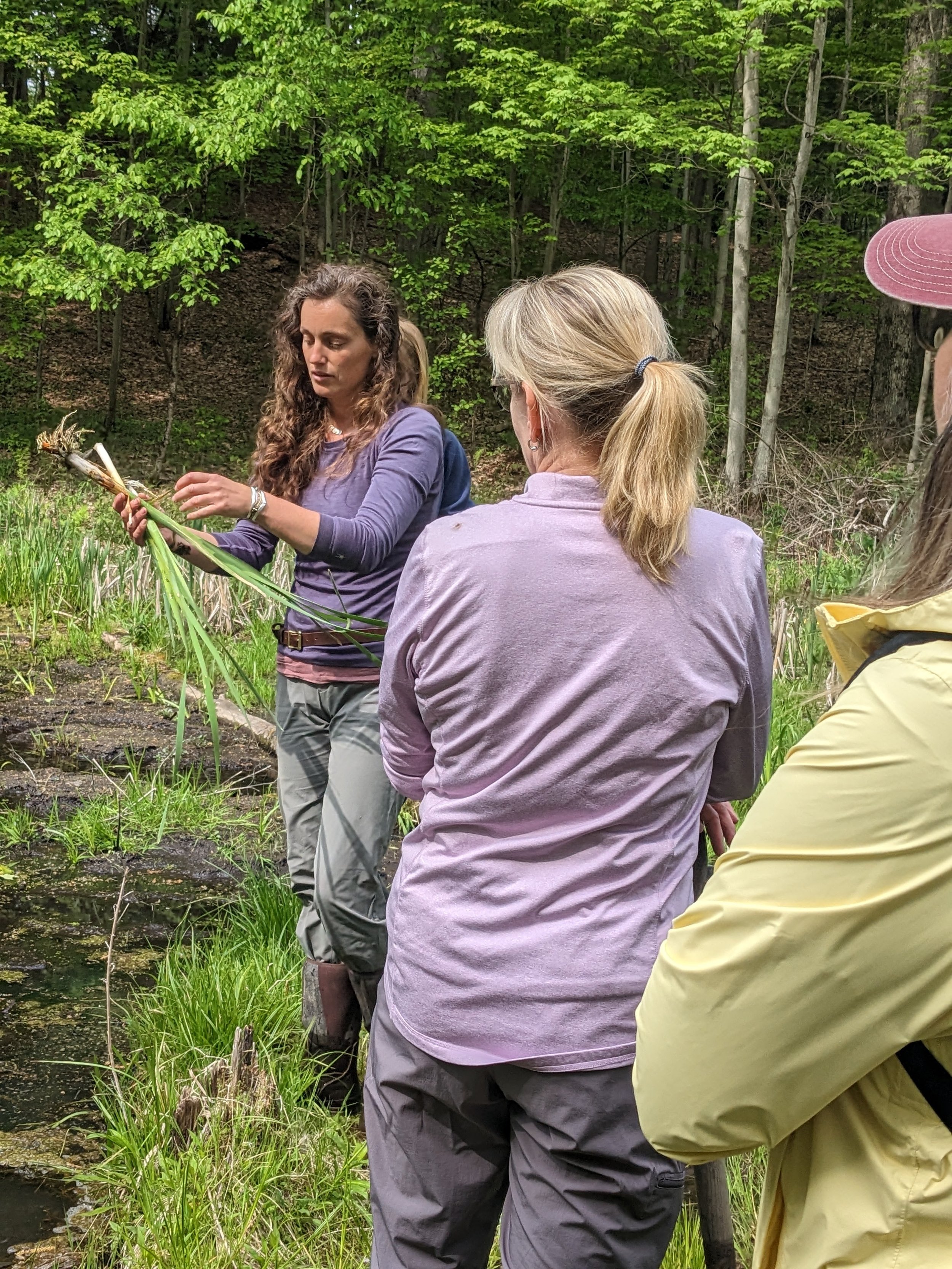 Adult Naturalist Series — Lime Hollow Nature Center