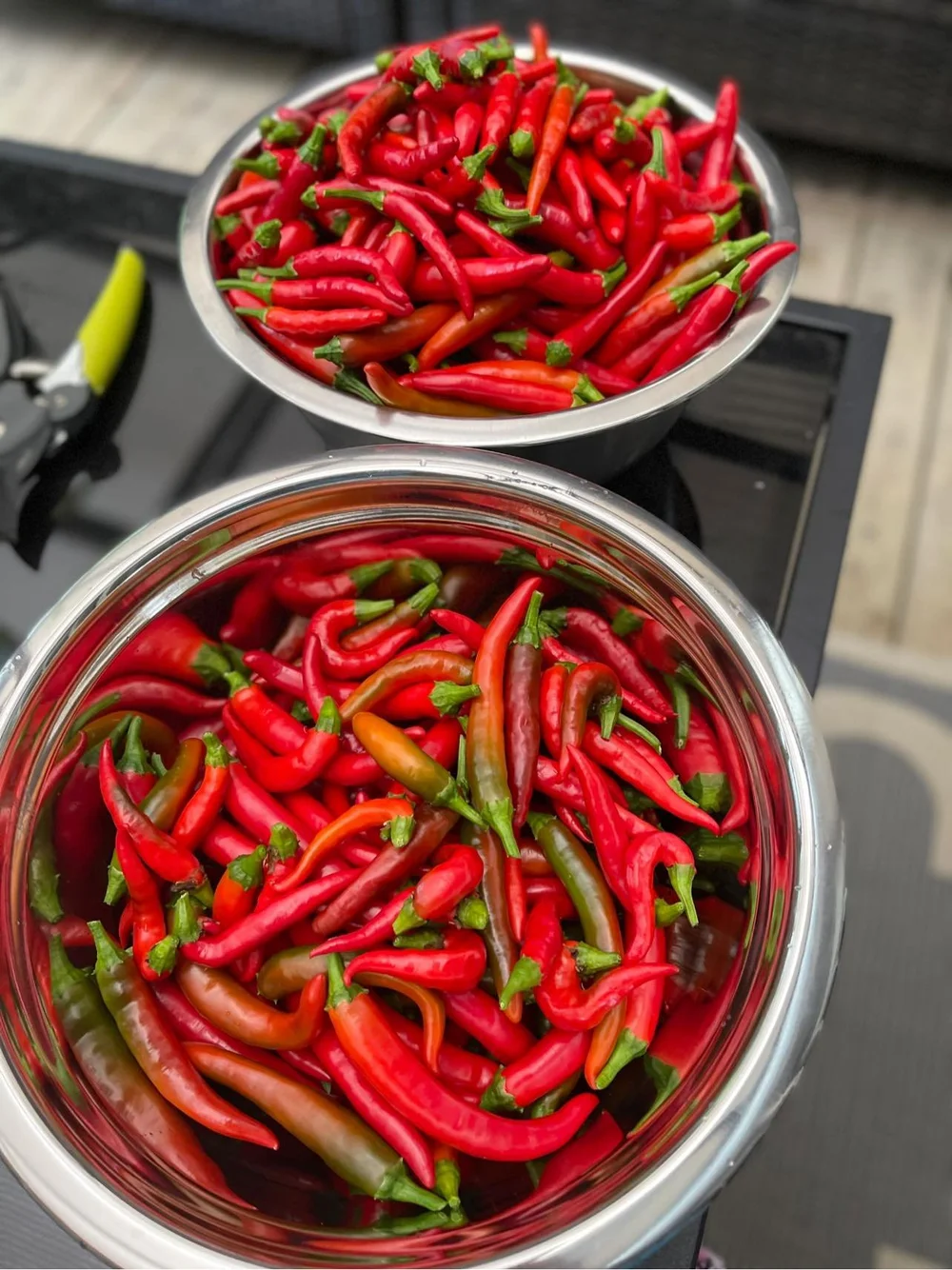 Menu 1 — Chili Thai Takeout