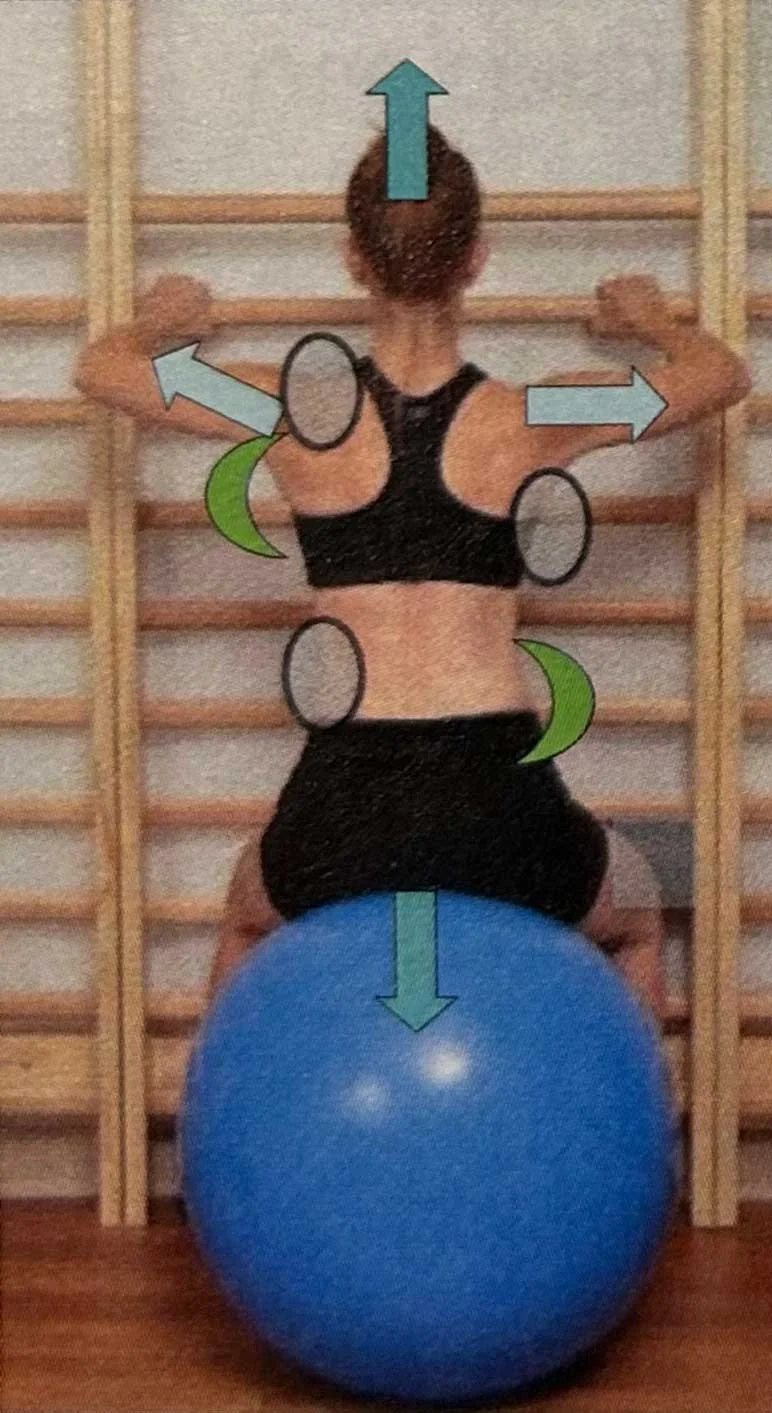 Schroth Method for Kyphosis | Schroth DC