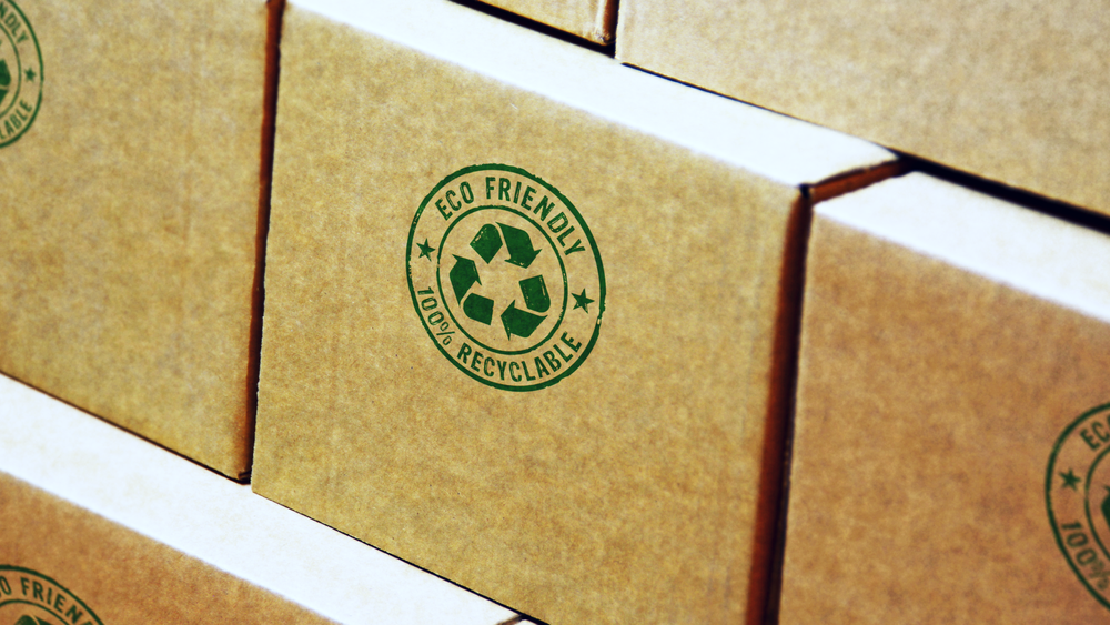 Circular Economy in Packaging: Designing for Reuse and Recycling ...