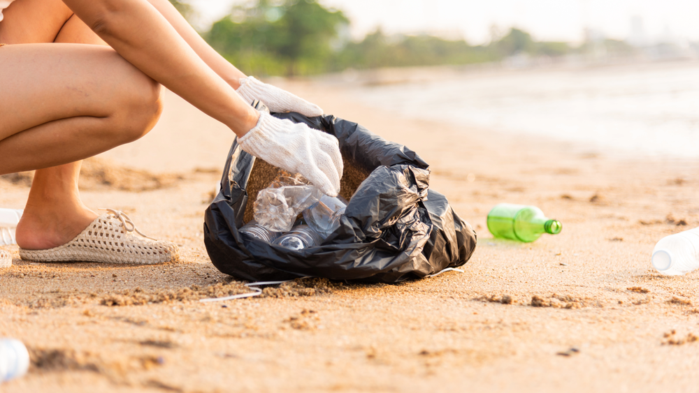 Comparative Analysis Cardboard Vs Plastic Packaging Merchant Boxes