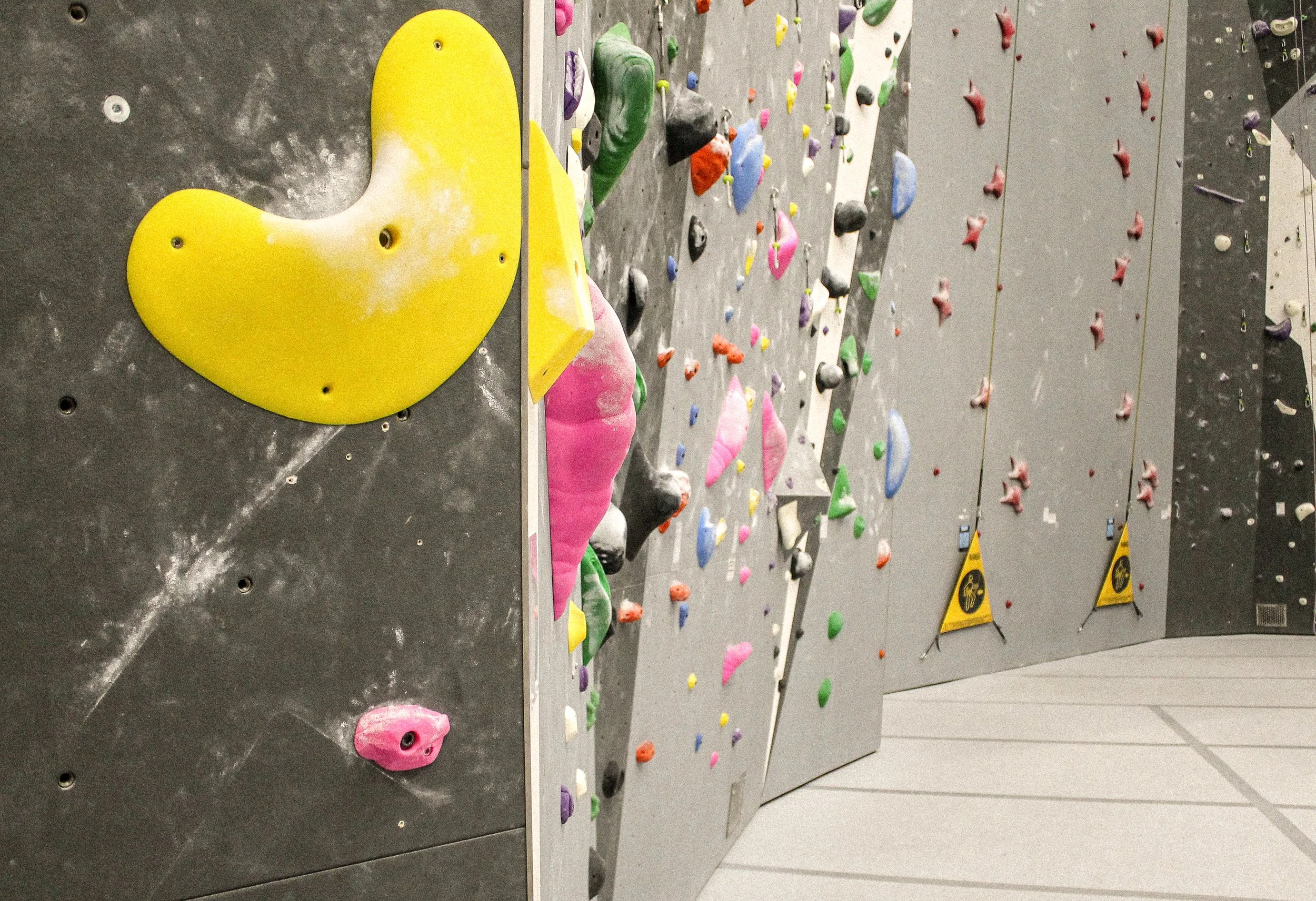 Auto Belays — Vertical View