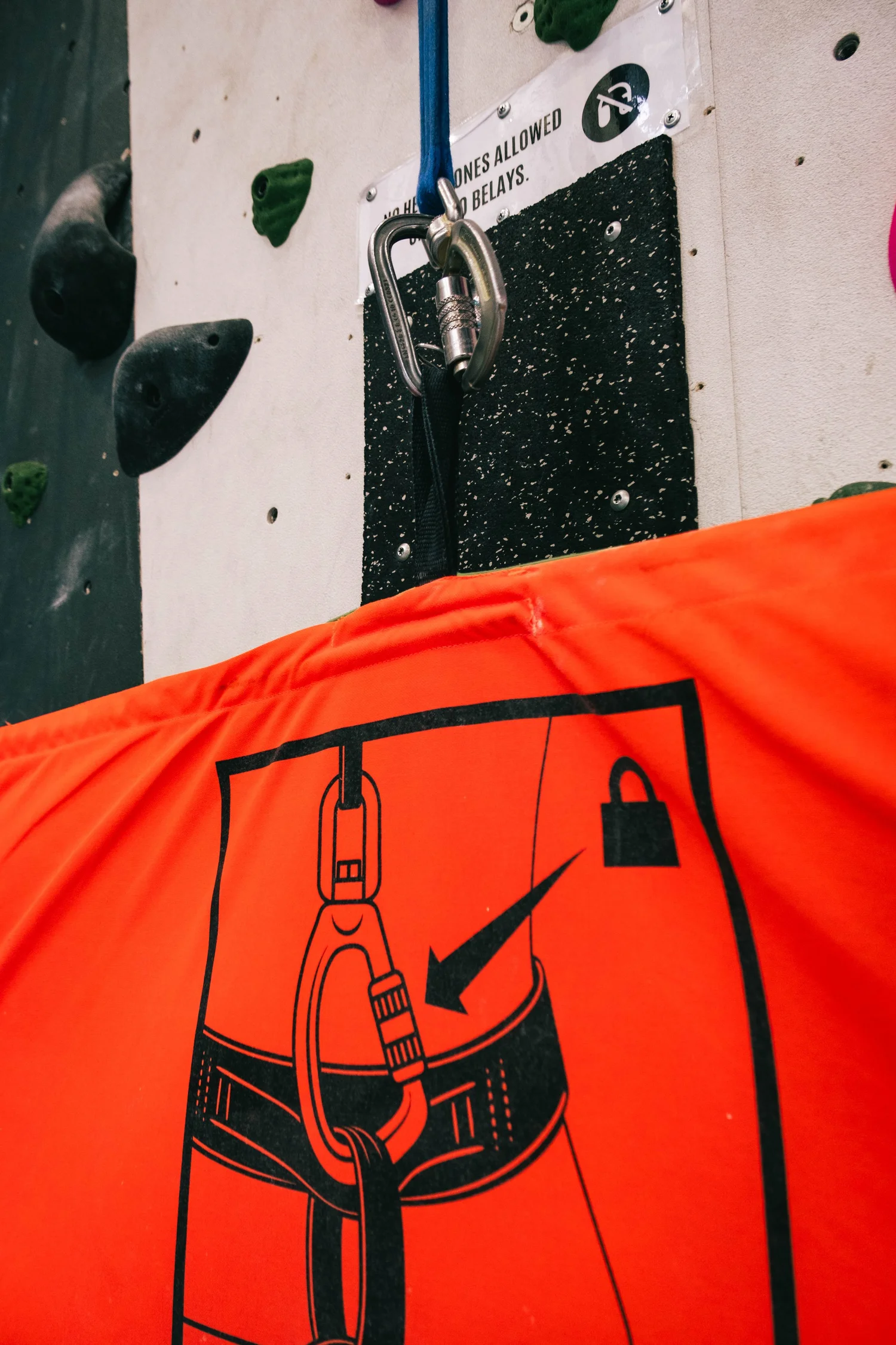 Auto Belays | Explore Rope Climbing Today — Vertical View