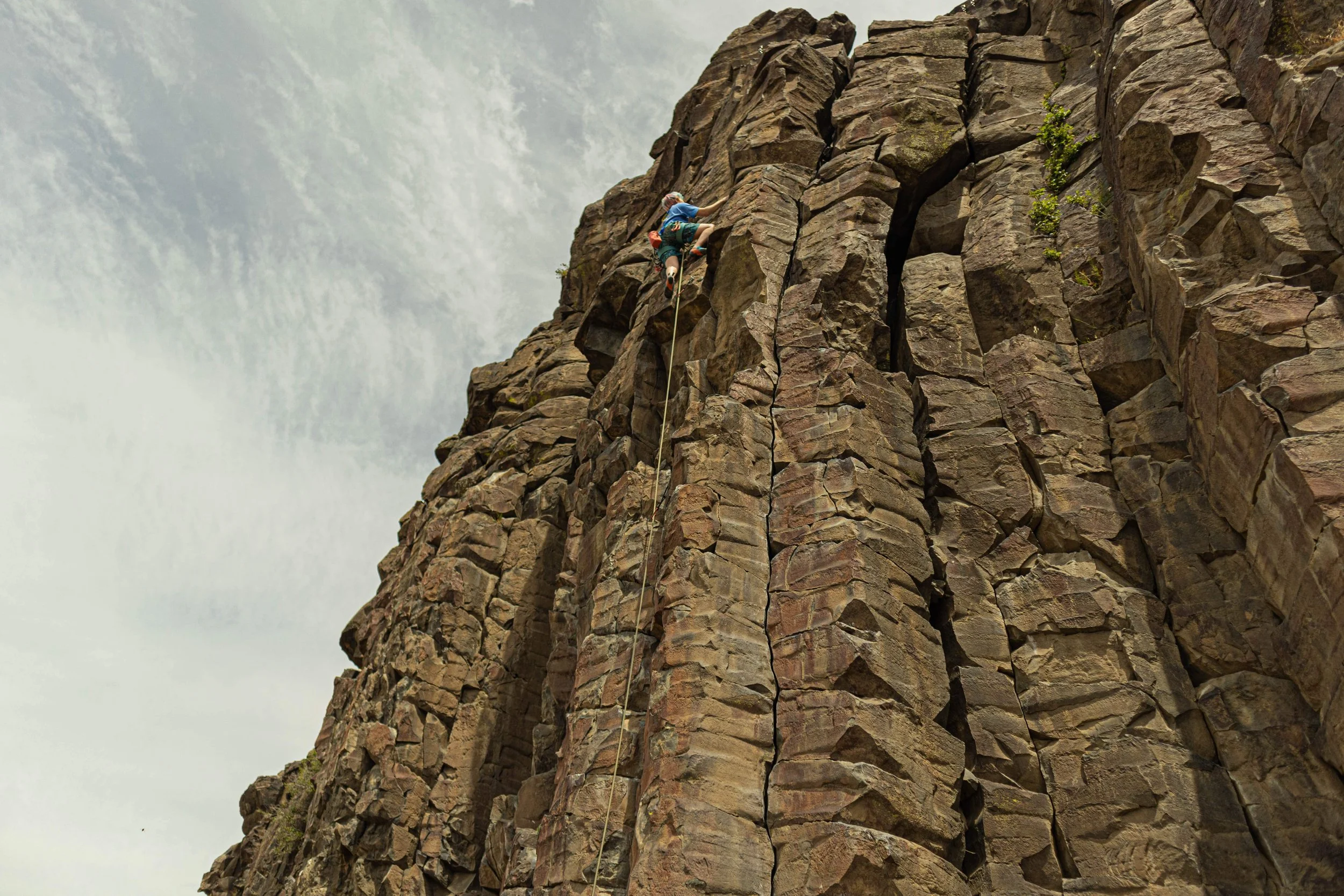 Vertical View
