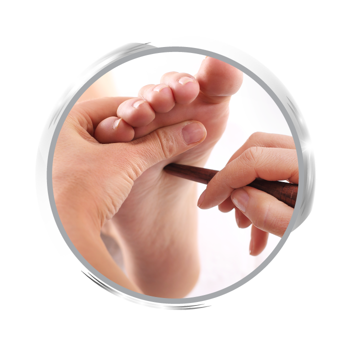 Holistic Harmony HWC