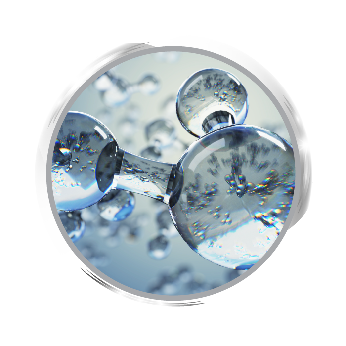 Holistic Harmony HWC