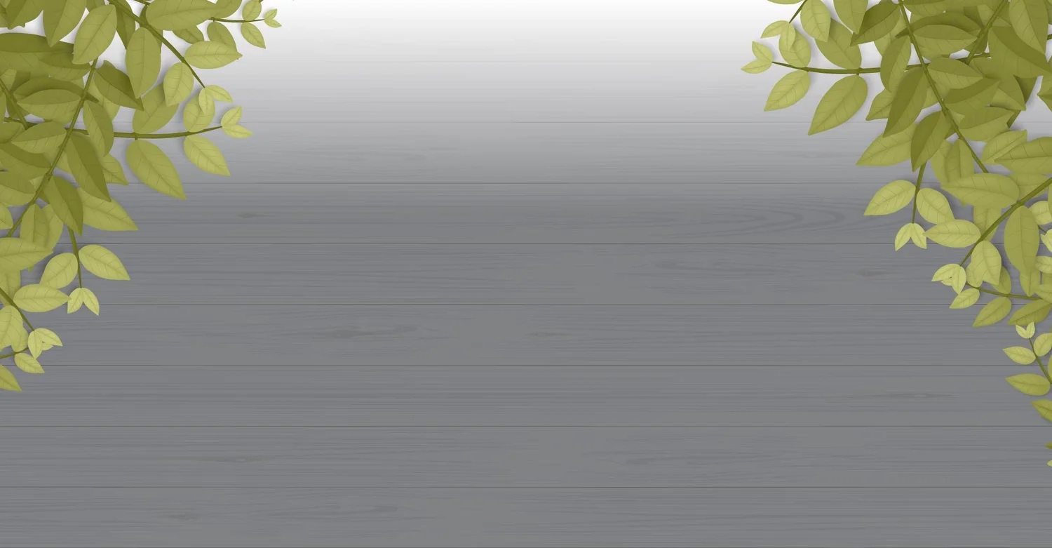 Facials — Holistic Harmony HWC