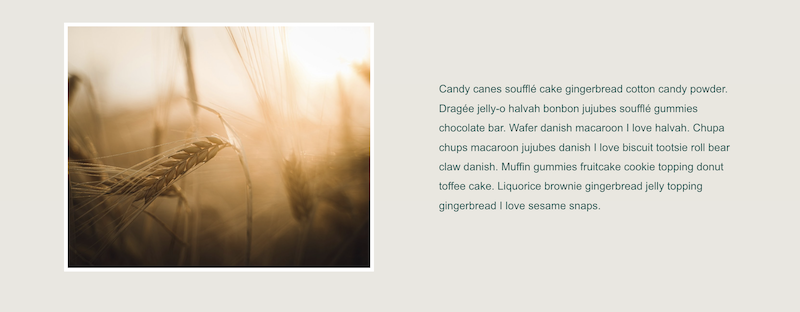 3 easy ways to use shape blocks on your Squarespace website