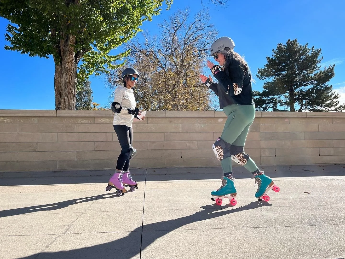 Become an Instructor — Skate Instructors Association