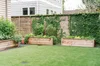 Border Beauties — Garden Girls