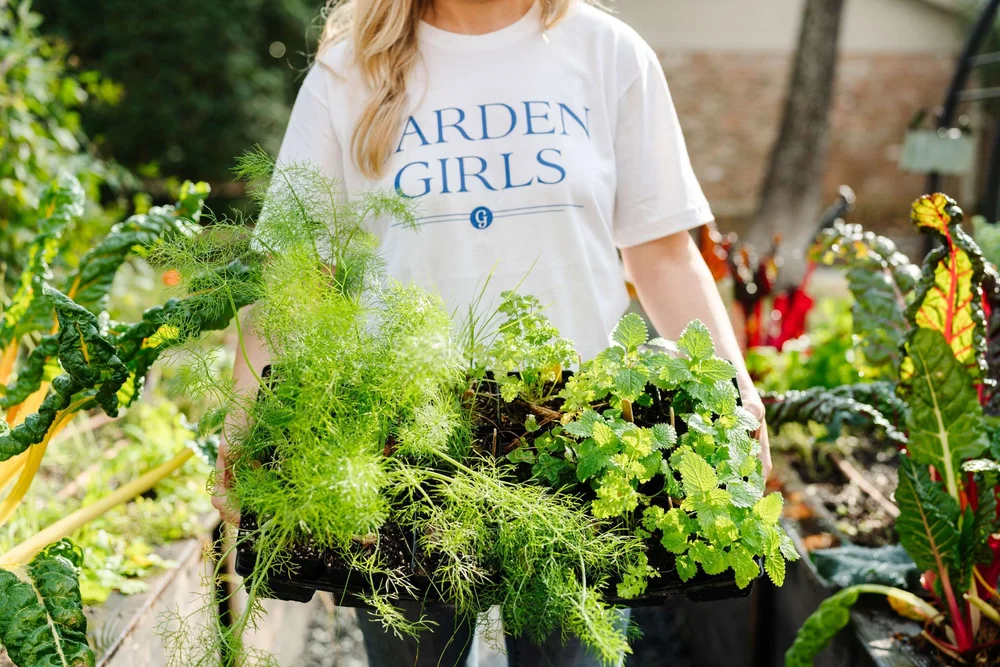 Blog — Garden Girls