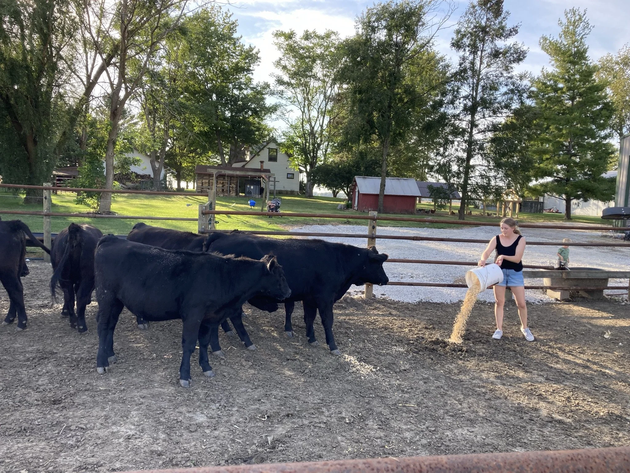 About — Rice Family Farms