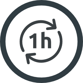 Wireless Sensor Spear - AgroLog