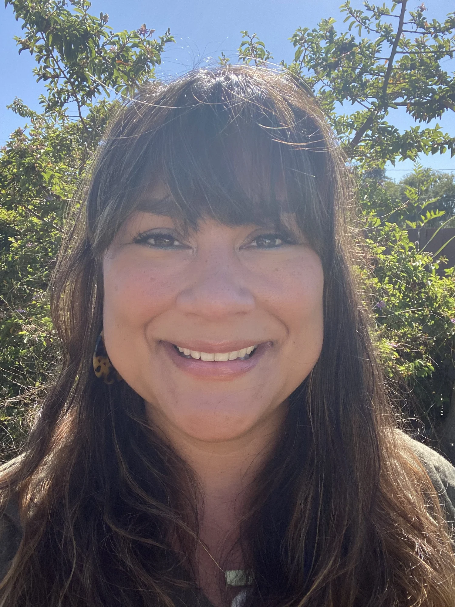 Who We Are — Strategenius