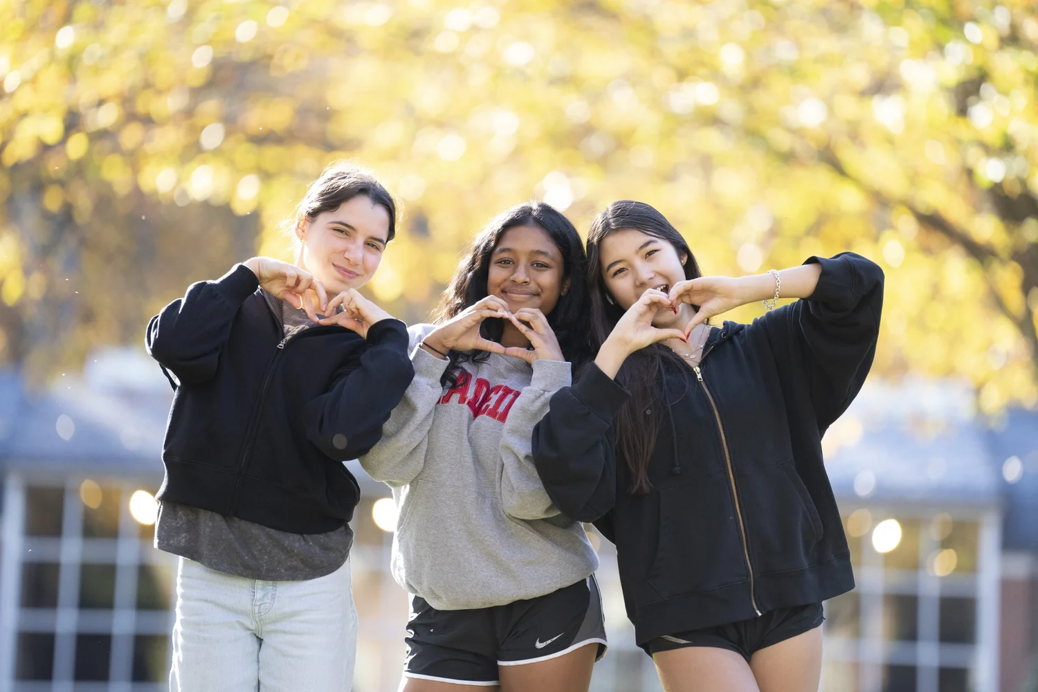 Leadership Opportunity: The Madeira School — Strategenius