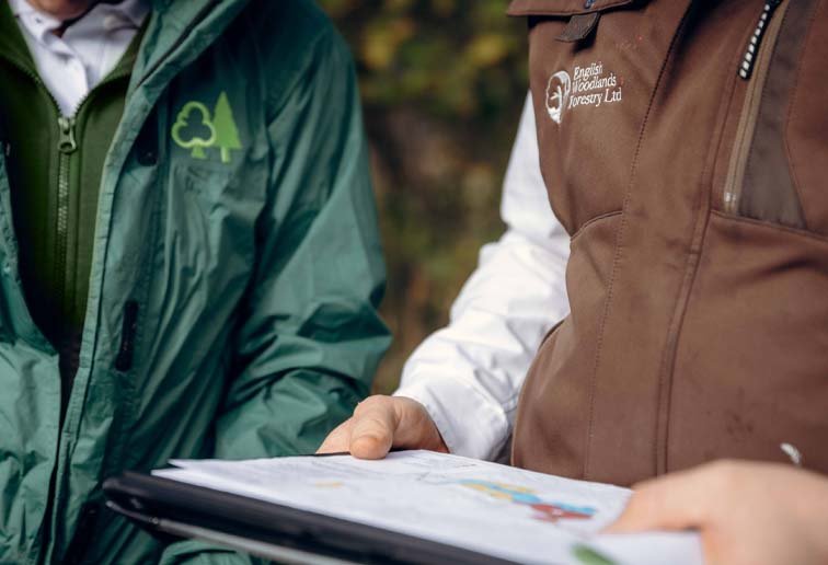 Timber Production & Sales — English Woodlands Forestry