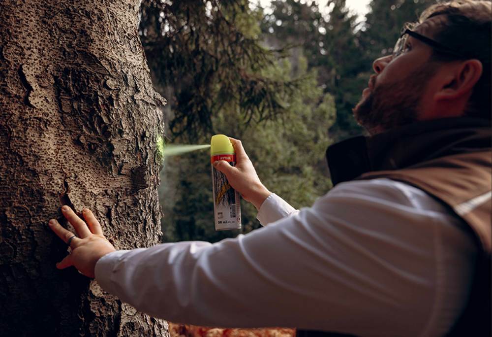 All Services — English Woodlands Forestry