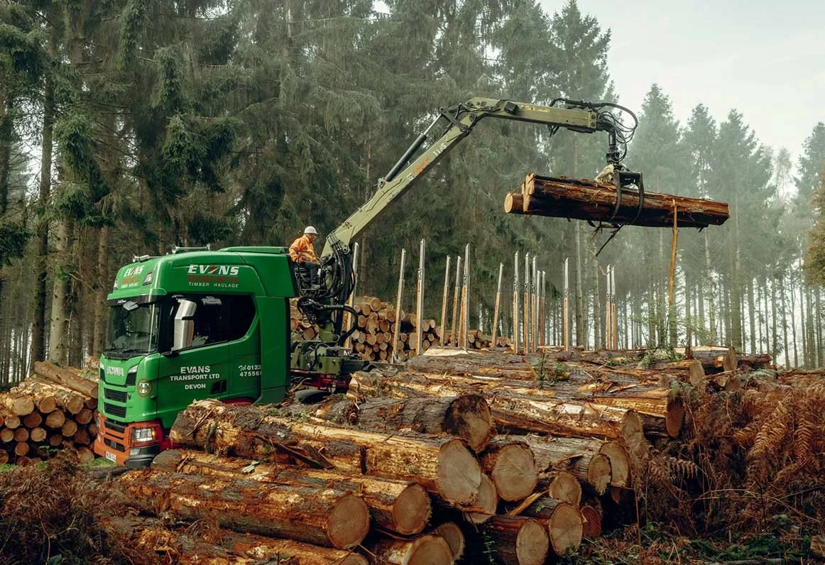 All Services — English Woodlands Forestry