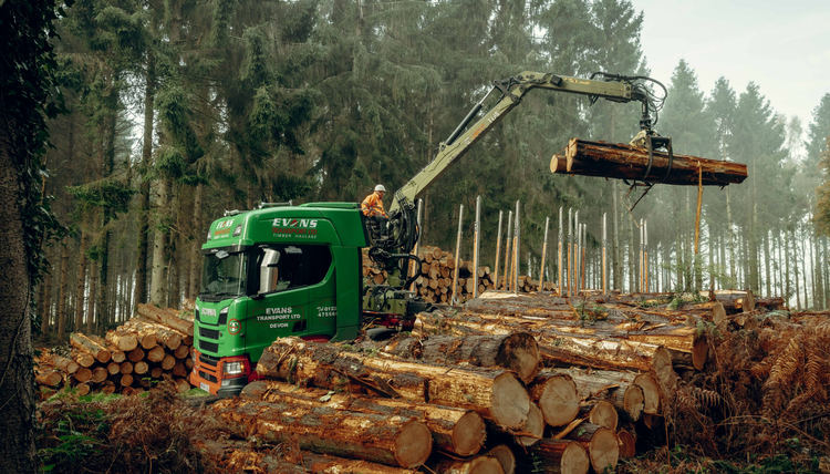 Timber Production & Sales — English Woodlands Forestry