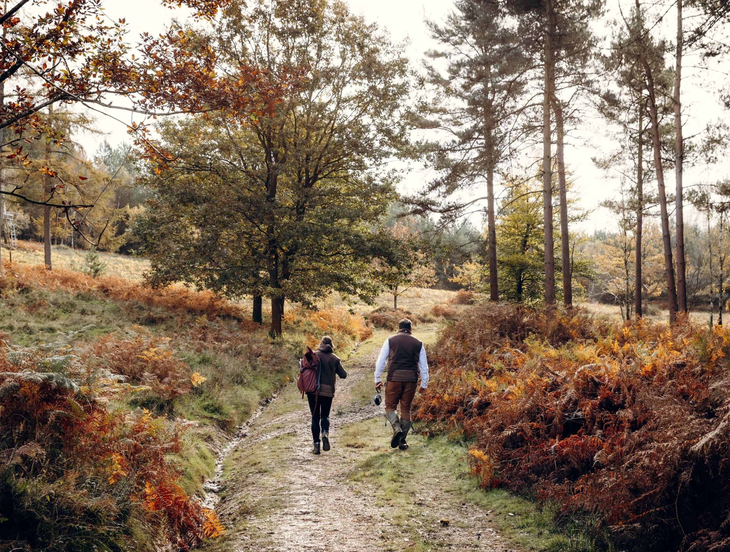 English Woodlands Forestry