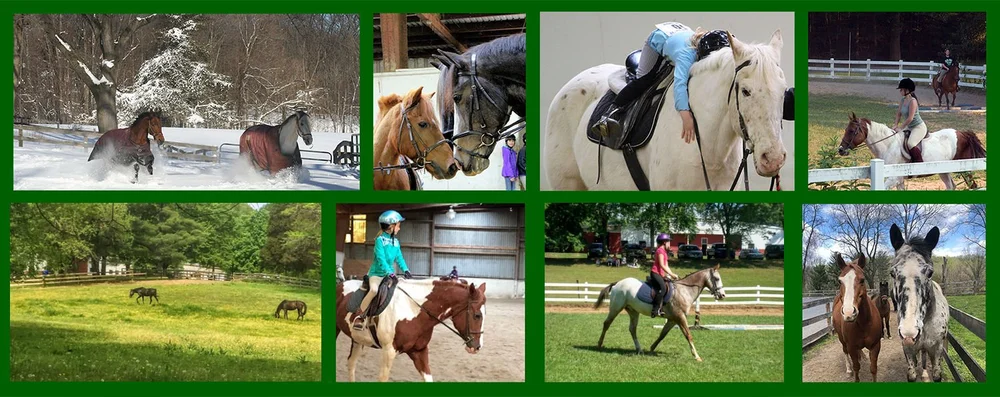 Wheaton Park Stables