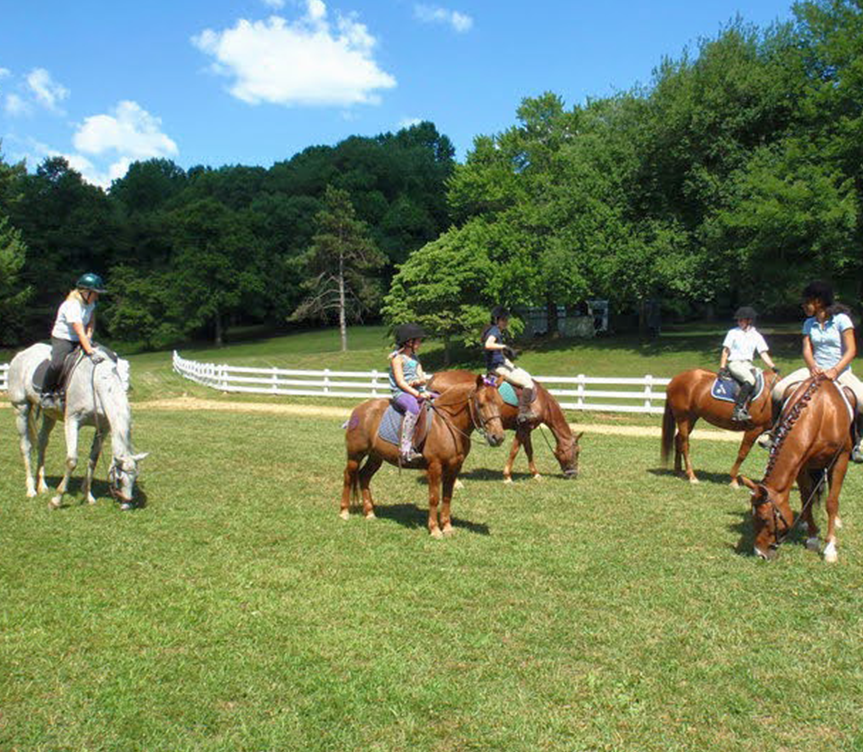 Special Activities — Wheaton Park Stables